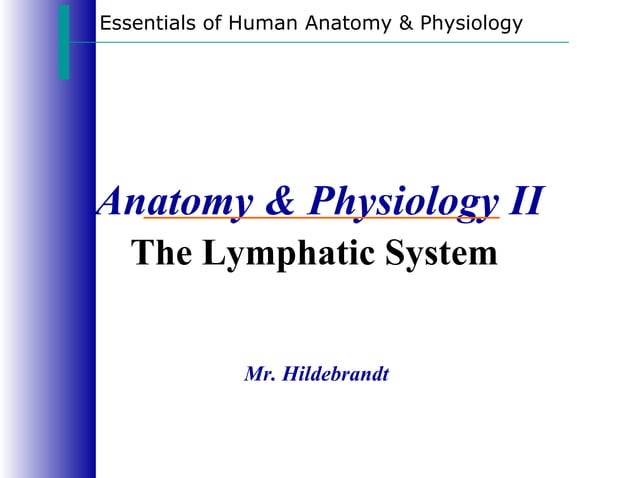 Lymphatic System Notes | PPT