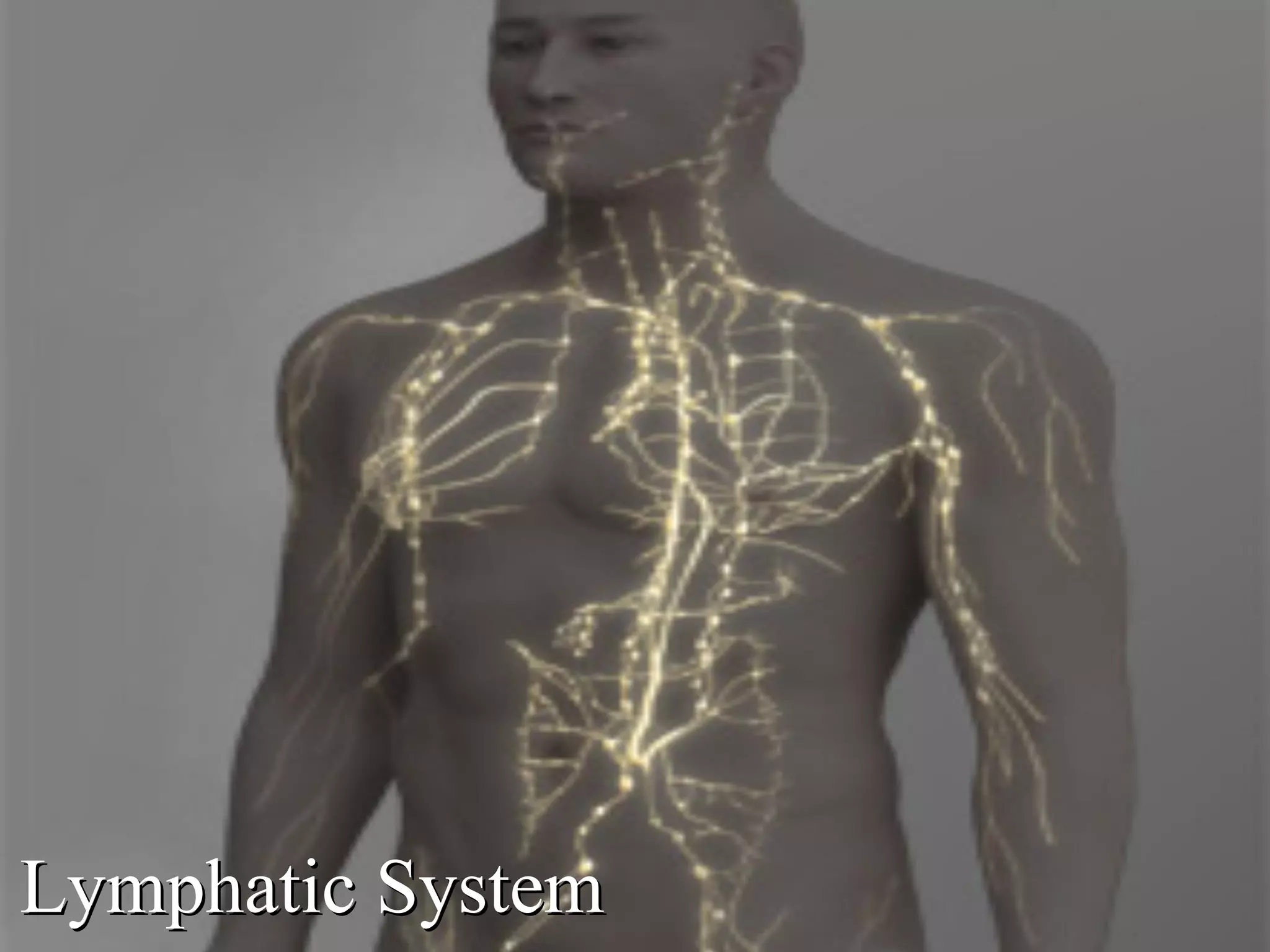 Lymphatic system notes | PPT