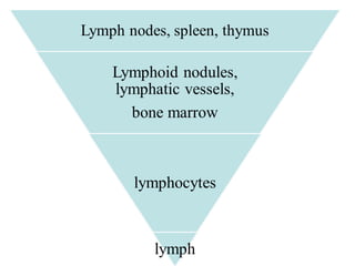 Lymphatic system notes | PPT