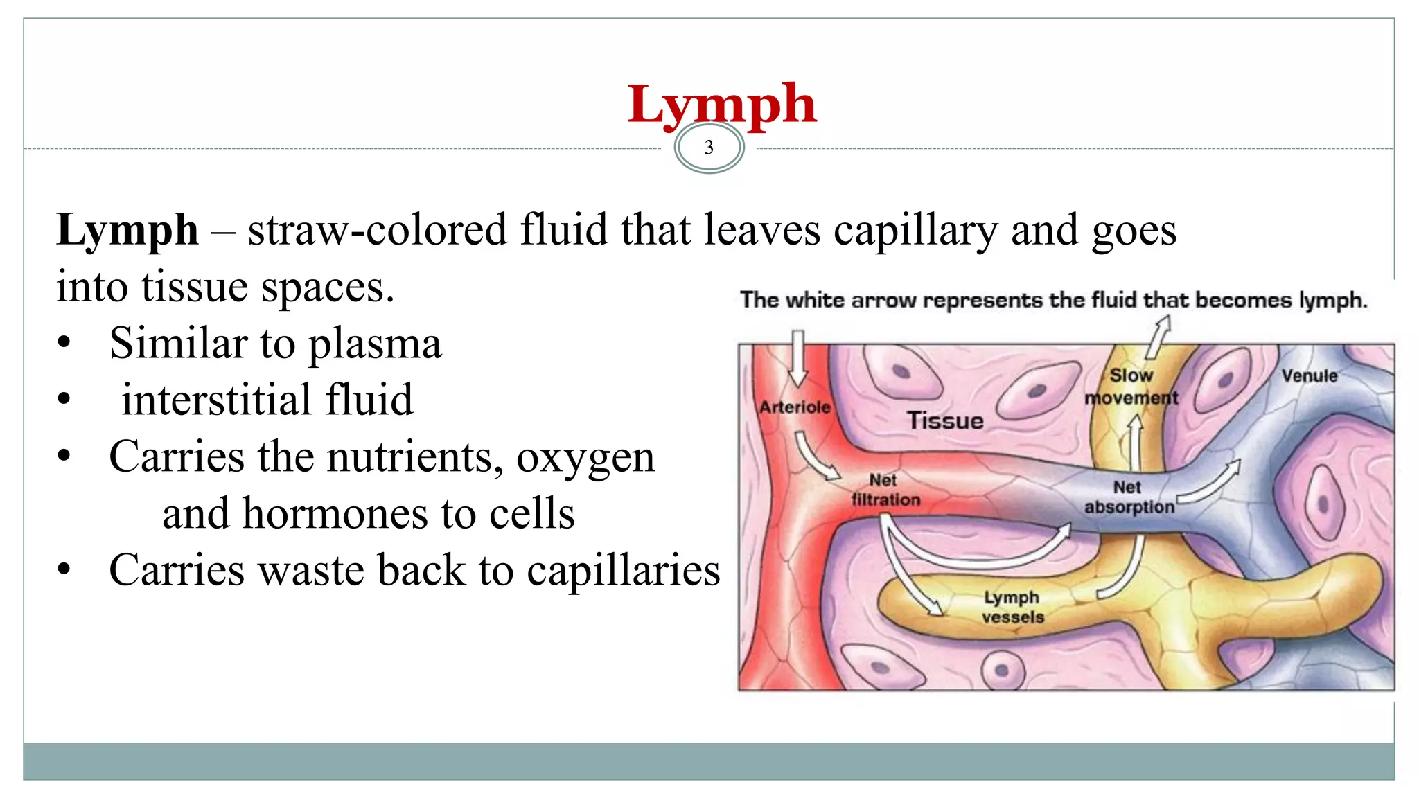 Lymphatic system part 1 | PDF