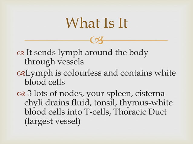 Lymphatic system power point | PPT