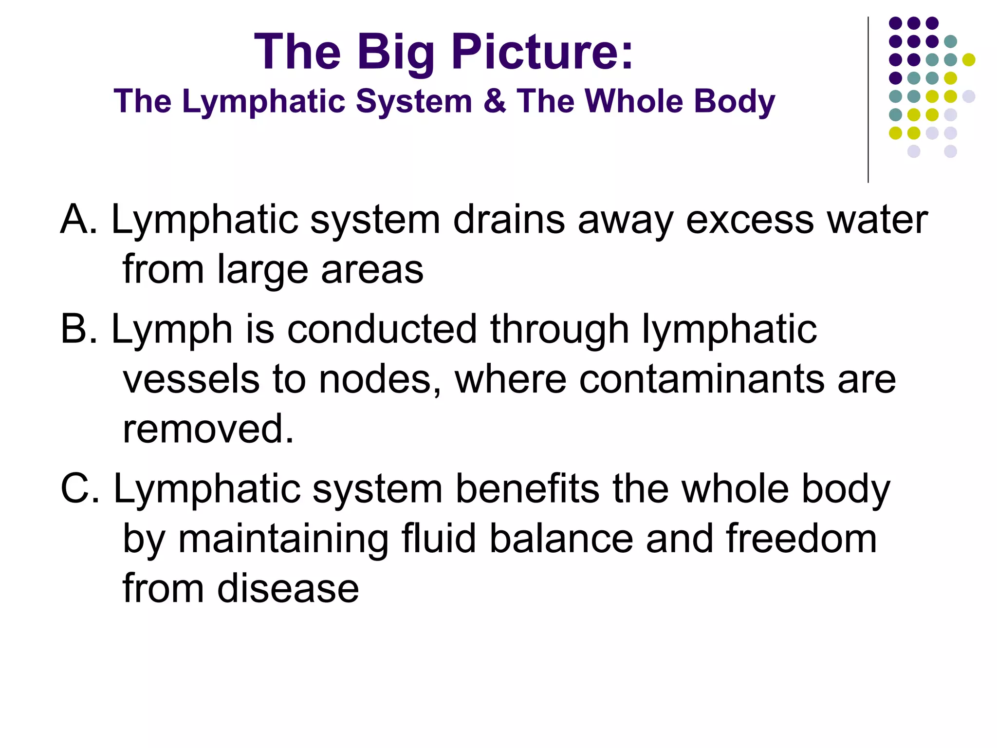Lymphatic system powerpoint | PPT