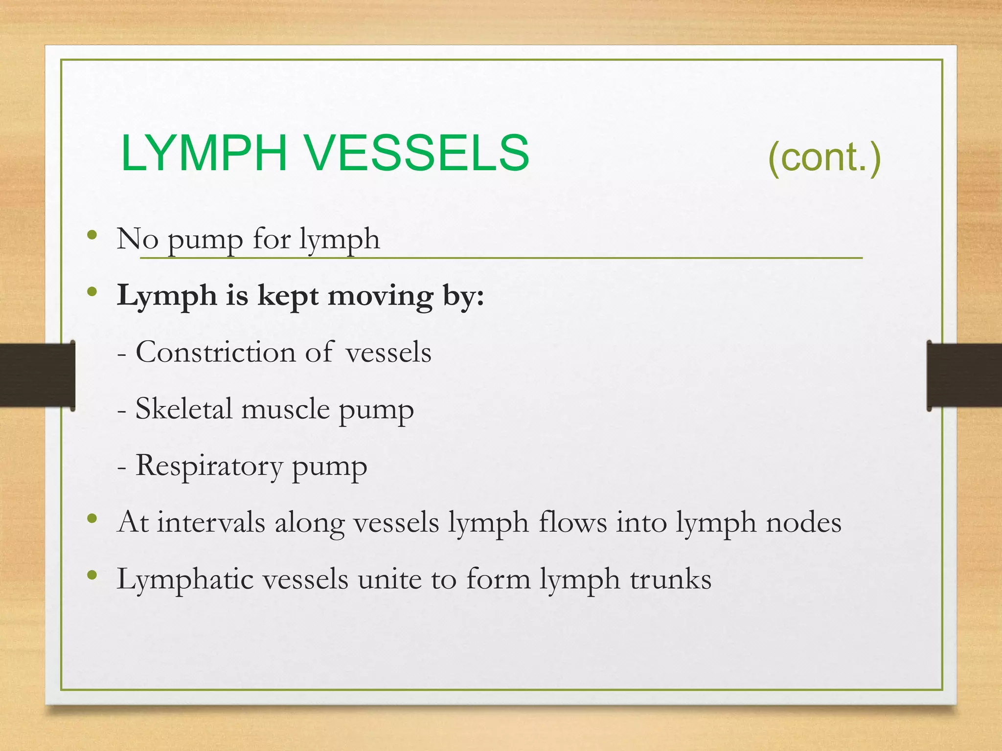 Lymphatic system ppt | PPT