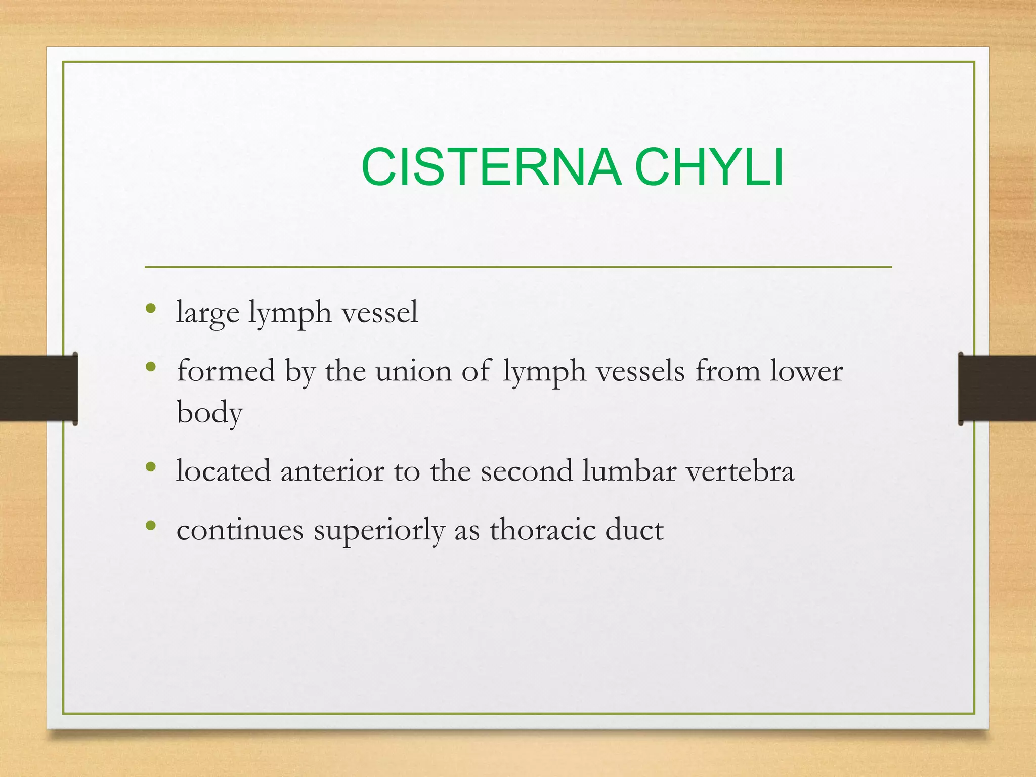 Lymphatic system ppt | PPT