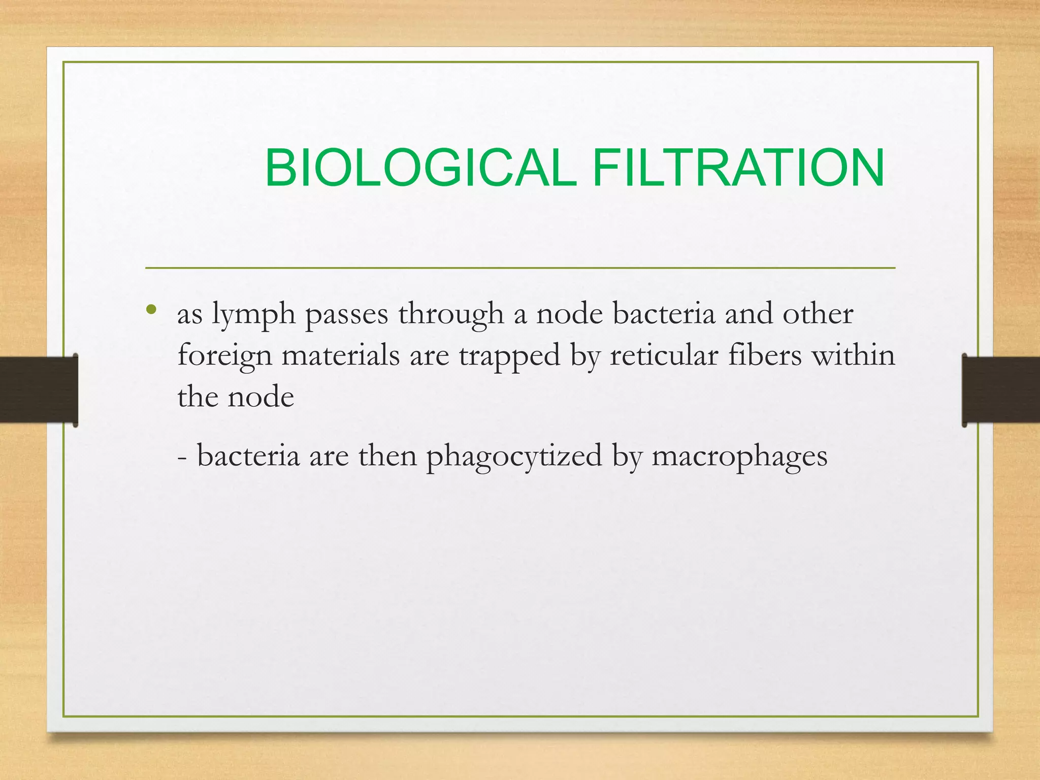 Lymphatic system ppt | PPT