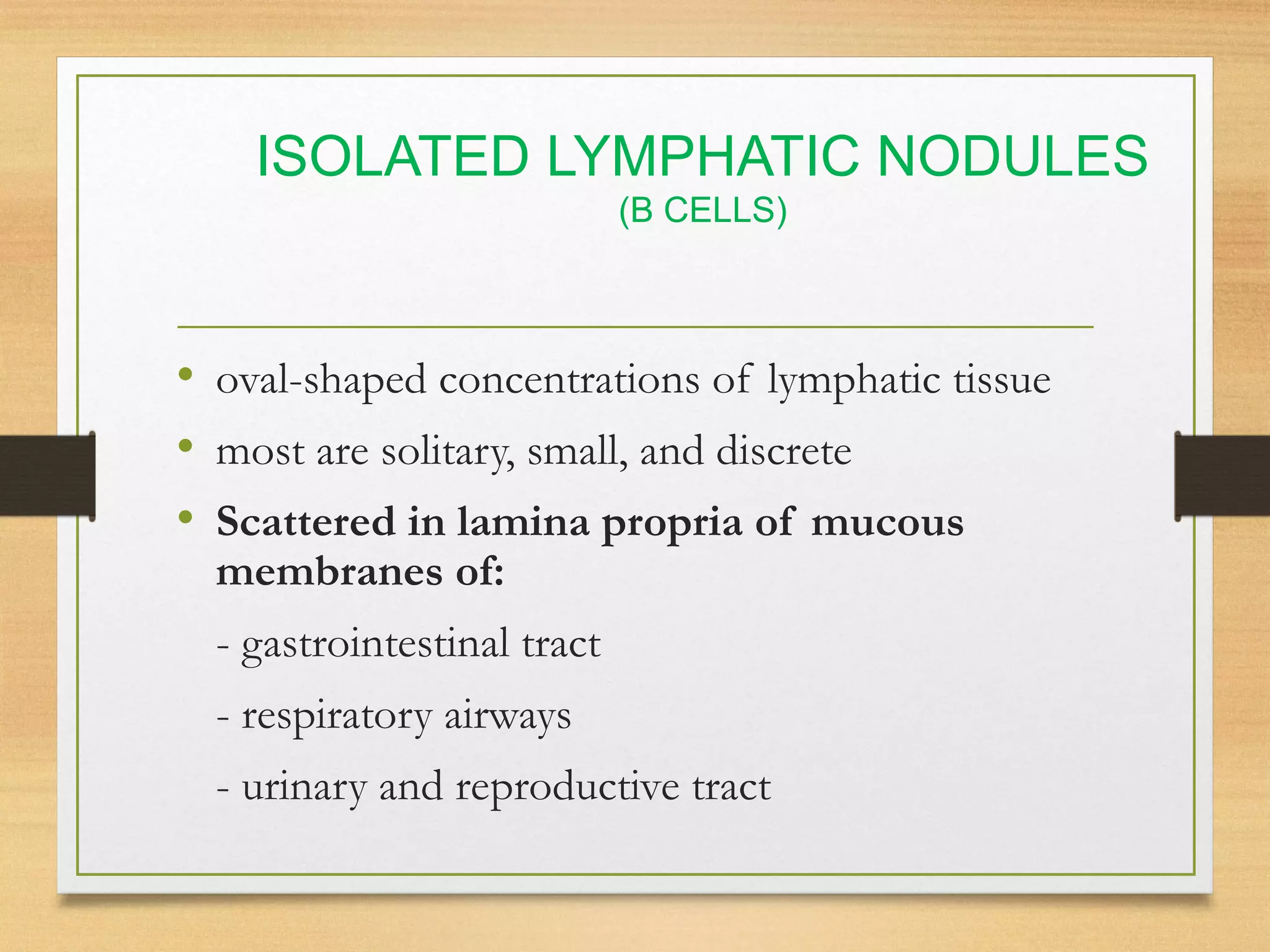 Lymphatic system ppt | PPT