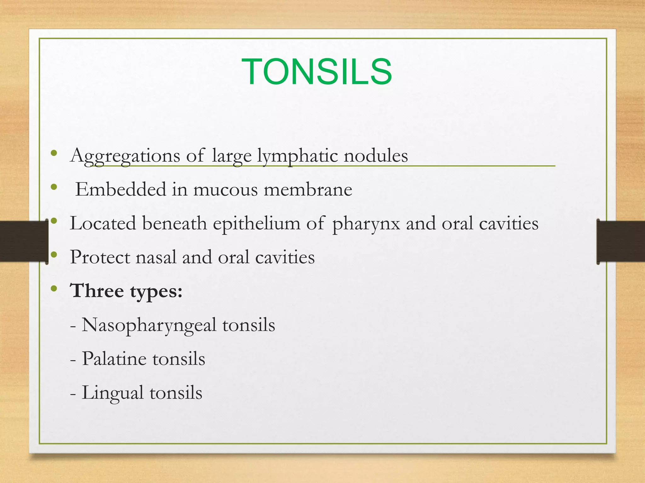 Lymphatic system ppt | PPT