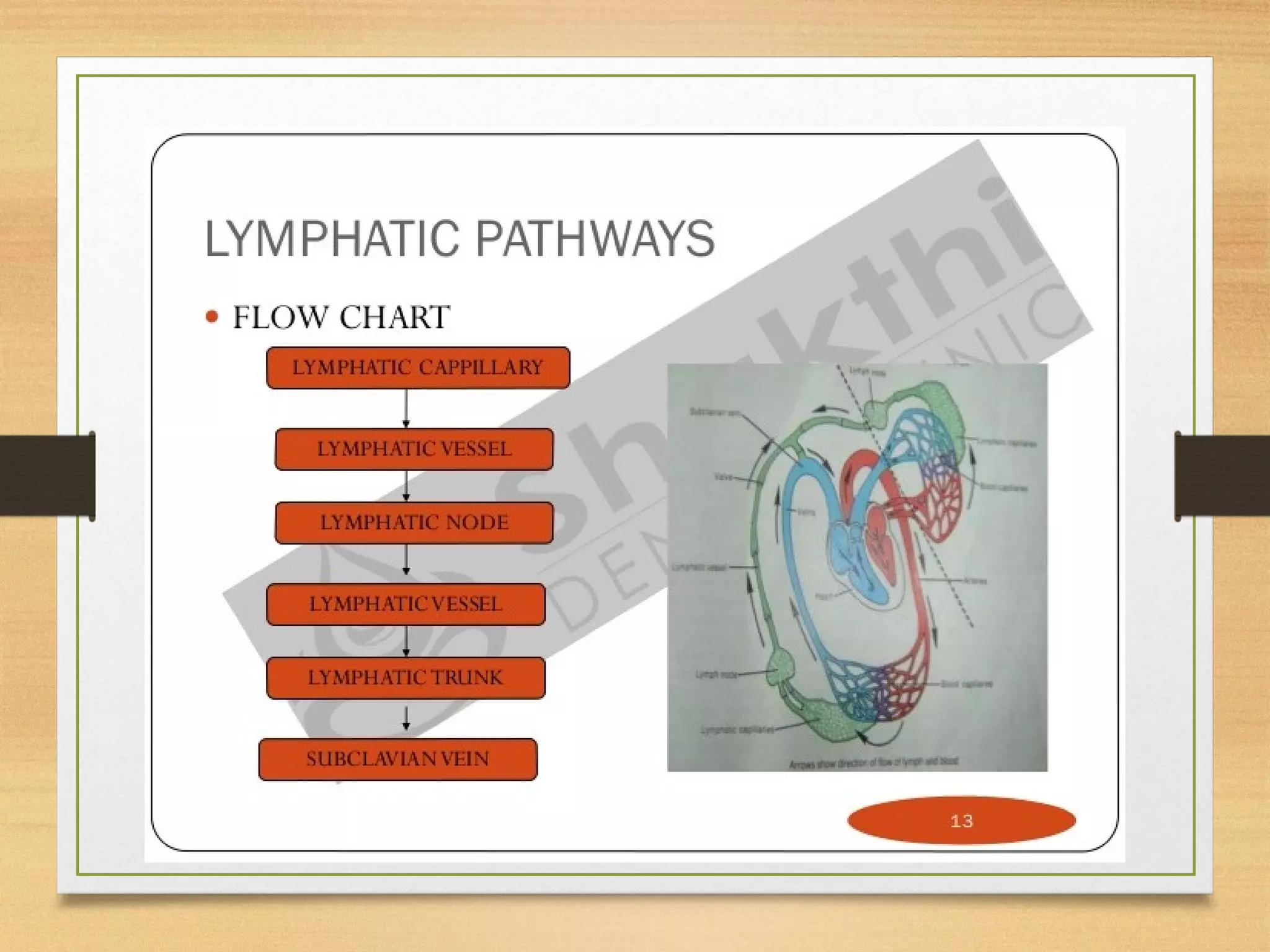 Lymphatic system ppt | PPT