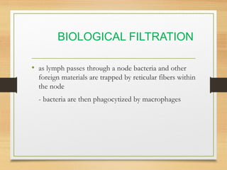 Lymphatic system ppt | PPT