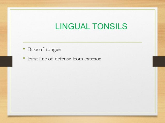 Lymphatic system ppt | PPT | Blood Disorders | Diseases and Conditions