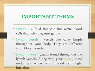 Lymphatic Fluid
