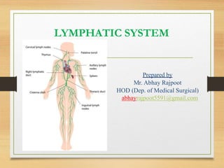 Lymphatic System: Definition, Anatomy, Functions Kenhub, 57% OFF