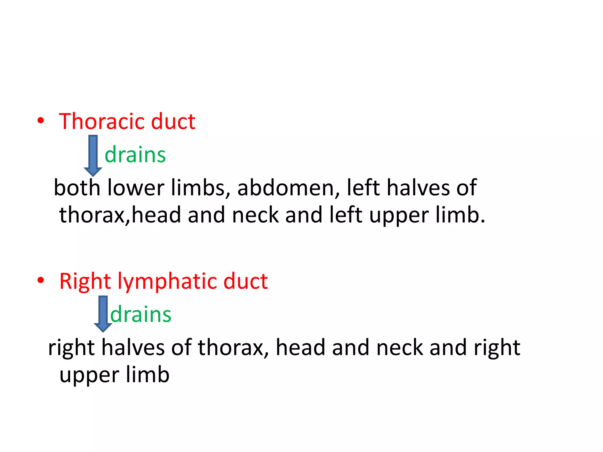 Lymphatic system ppt | PPTX