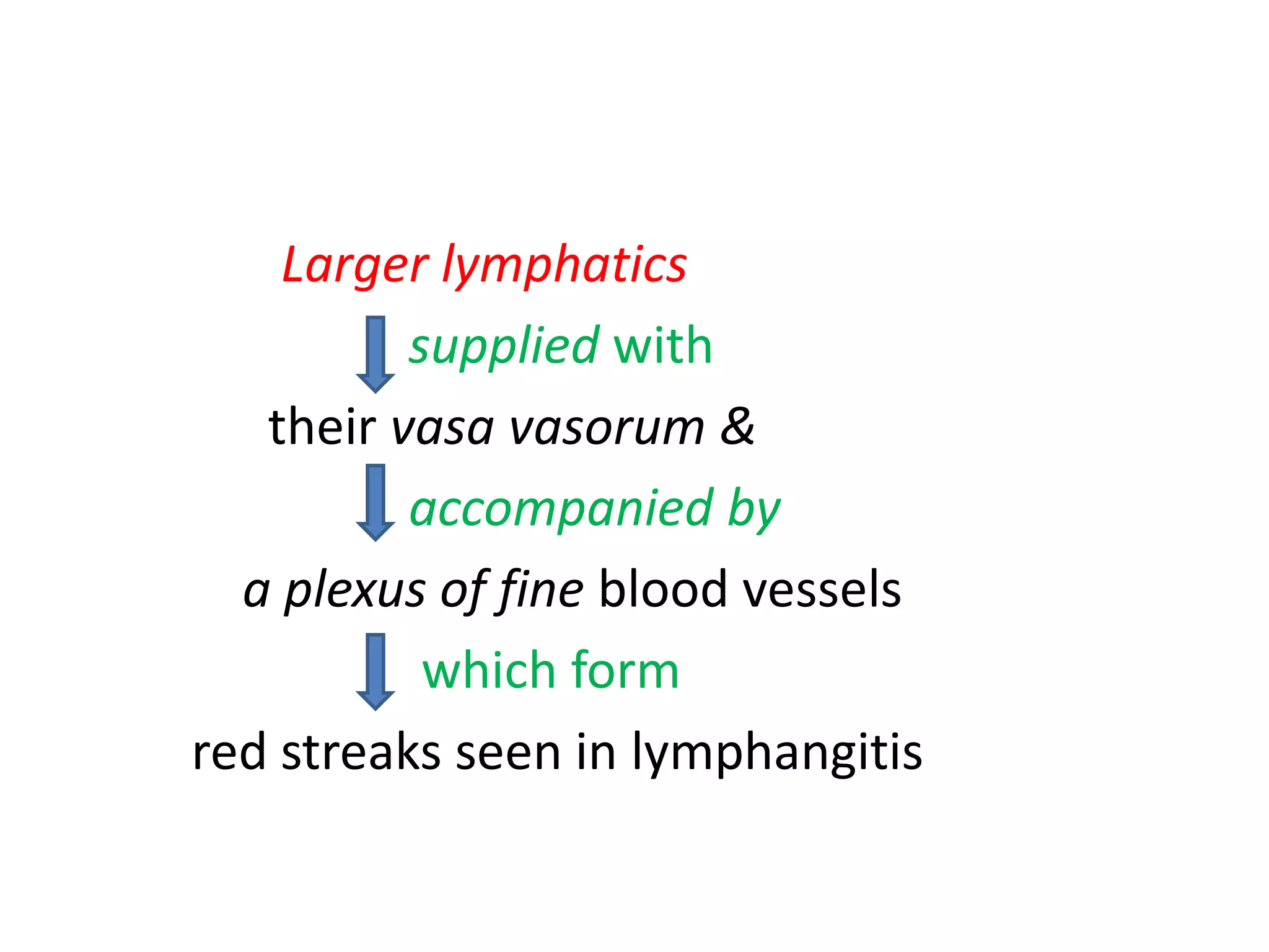 Lymphatic system ppt | PPTX