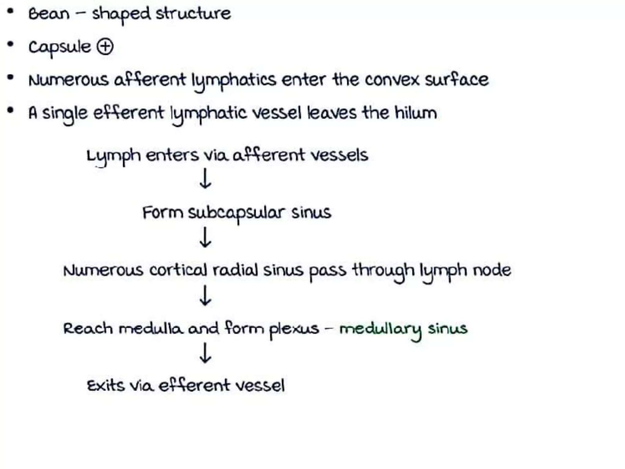 Lymphatic system ppt | PPTX
