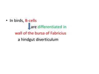 Lymphatic system ppt | PPTX