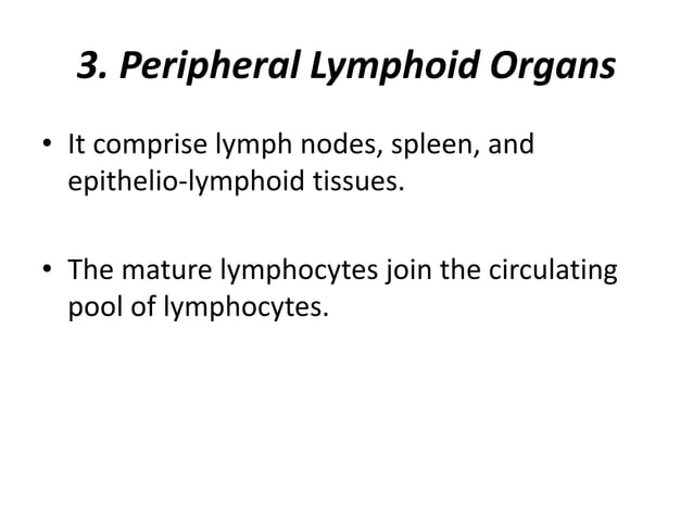 Lymphatic system ppt | PPT