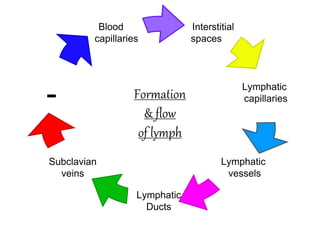 Lymphatic system ppt | PPTX