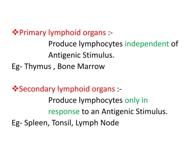 Lymphatic system ppt | PPT