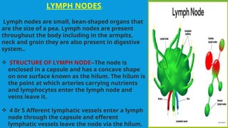 Lymphatic system ppt[1].pptx . | PPTX