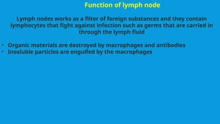 Lymphatic system ppt[1].pptx . | PPTX
