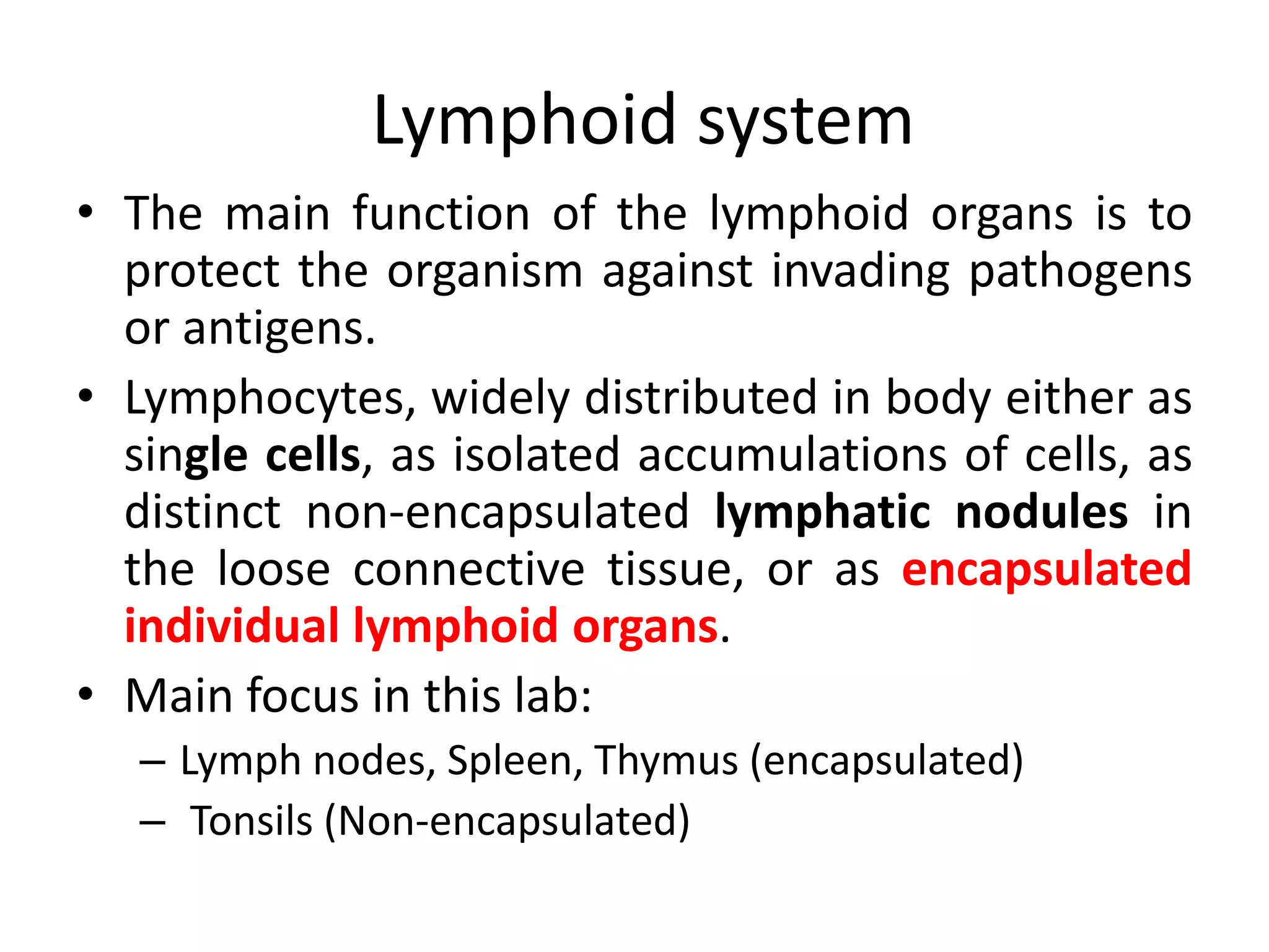 histology of lymphatic system | PDF | Ear, Nose and Throat Conditions ...
