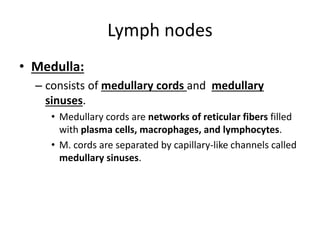 histology of lymphatic system | PDF | Ear, Nose and Throat Conditions ...