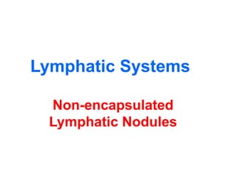 Lymphatic systems.ppt
