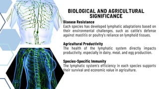 Lymphatic_System_Terence_John_P_Aguinaldo.pdf