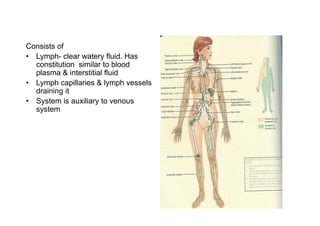 Lymphatic tissue physio.pdf