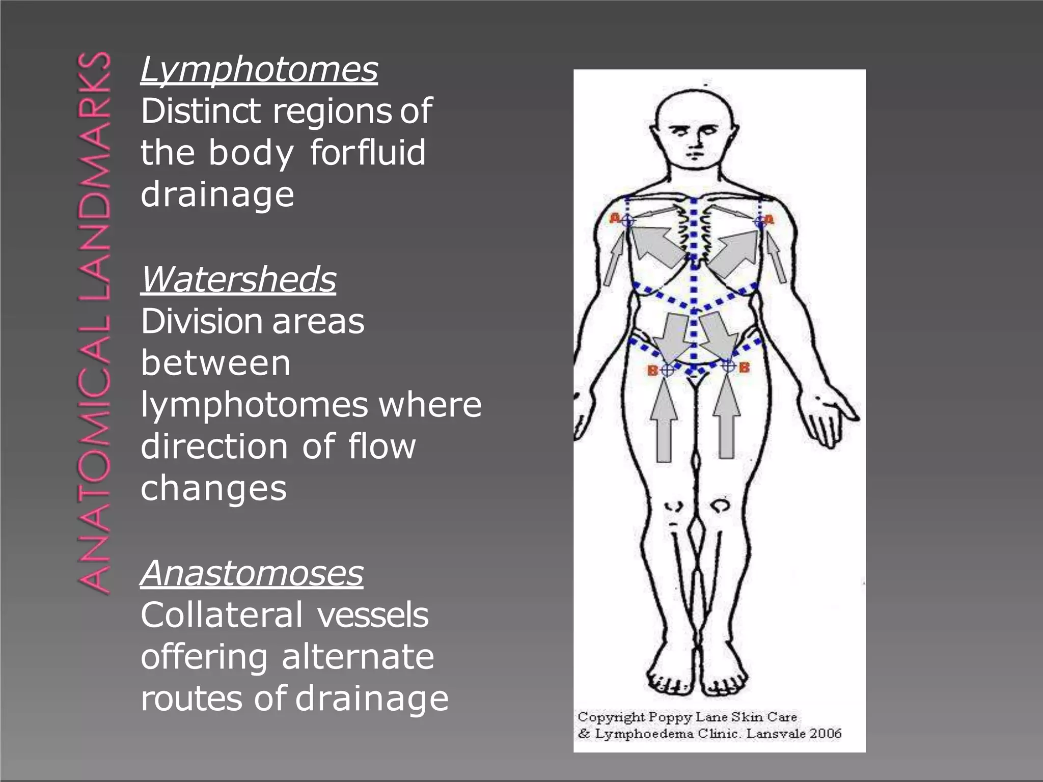 Lymphedema | PPTX | Physical Therapy | Wellness