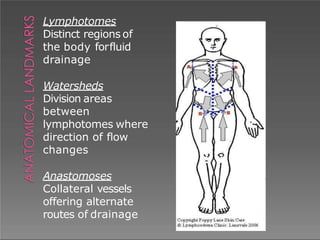 Lymphedema | PPTX