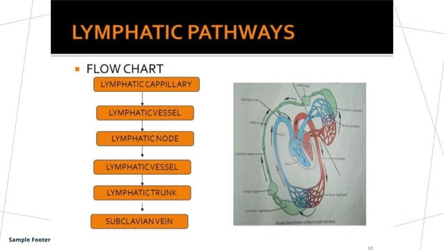 lymphedema, lymphangitis pathology .pptx