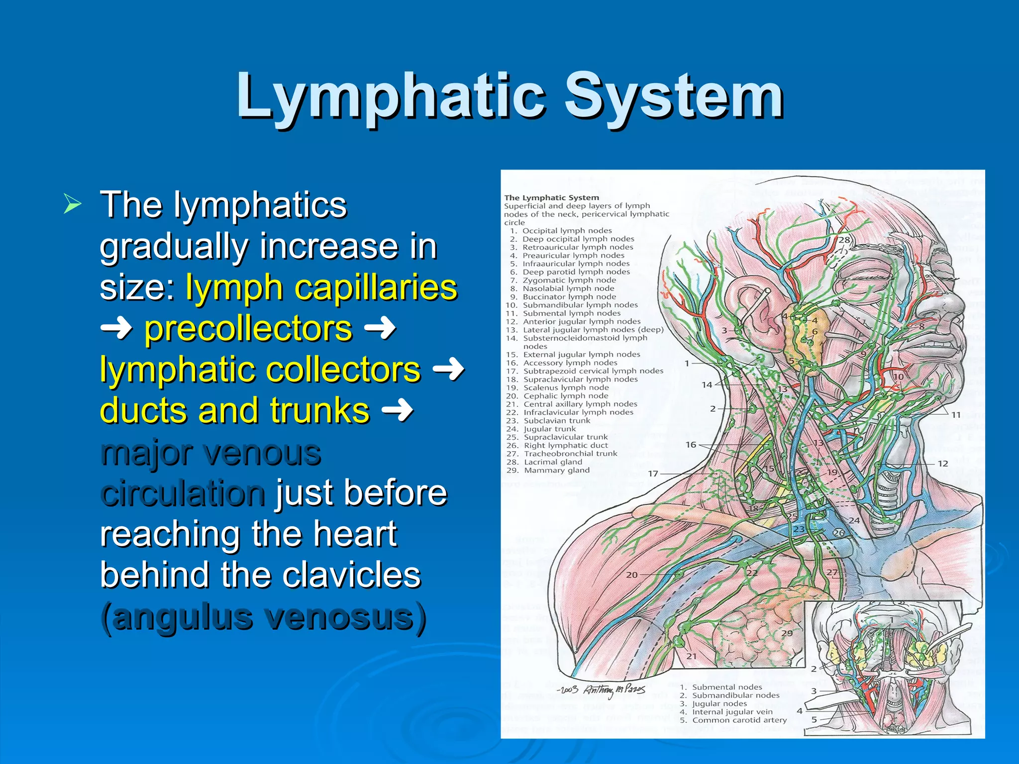 Lymphedema an overview | PPT