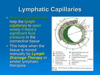 Lymphedema an overview | PPT