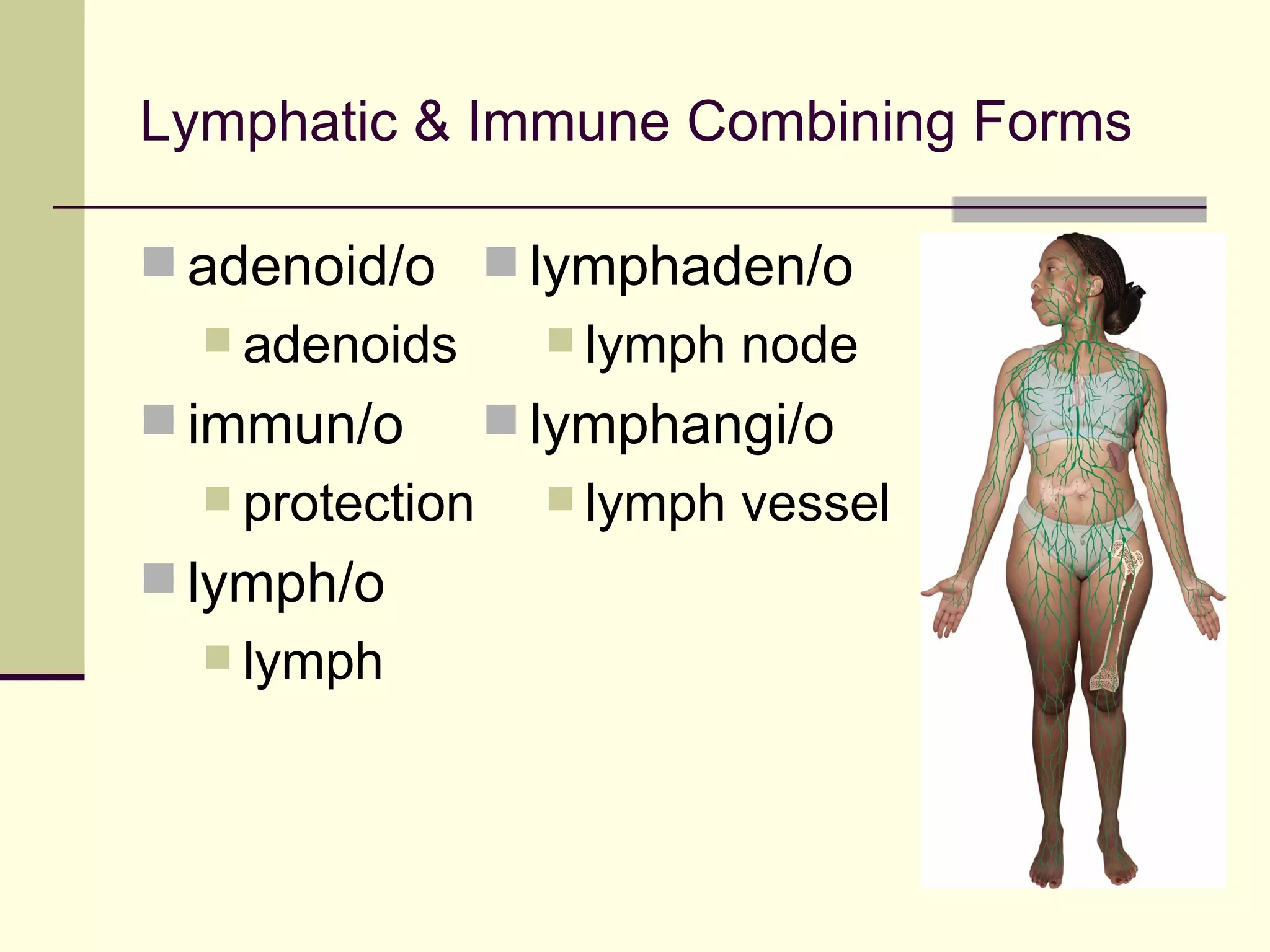 Lymphedema immune system_b | PPT