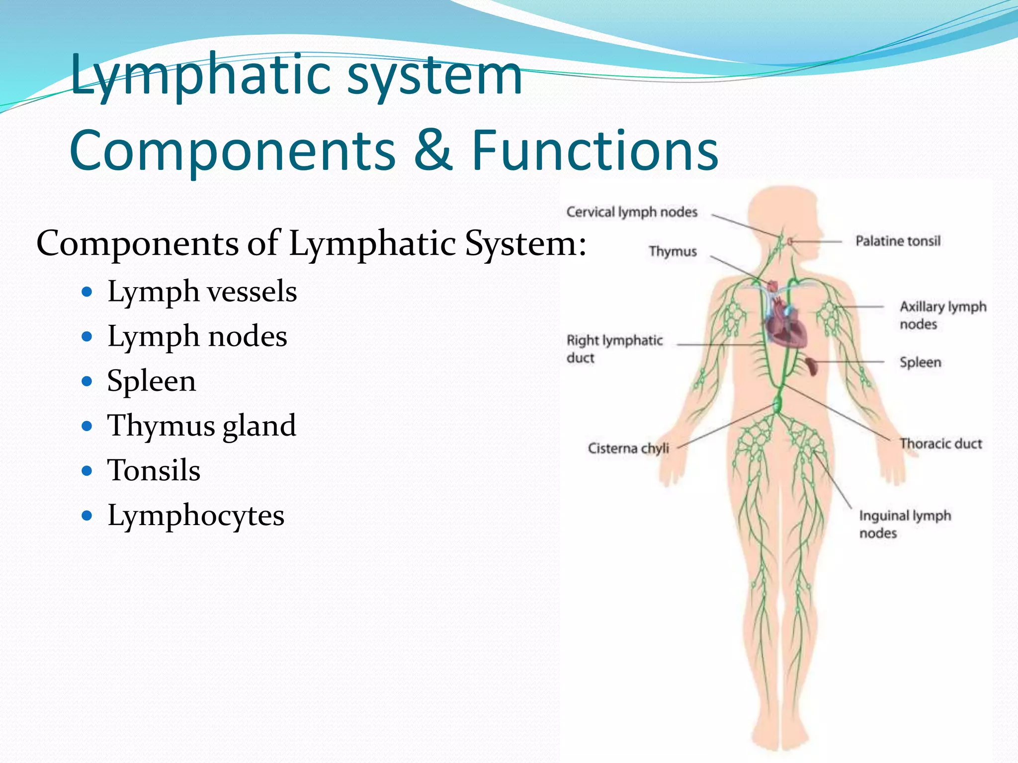 A preview of lymphedema treatment and management | PPTX