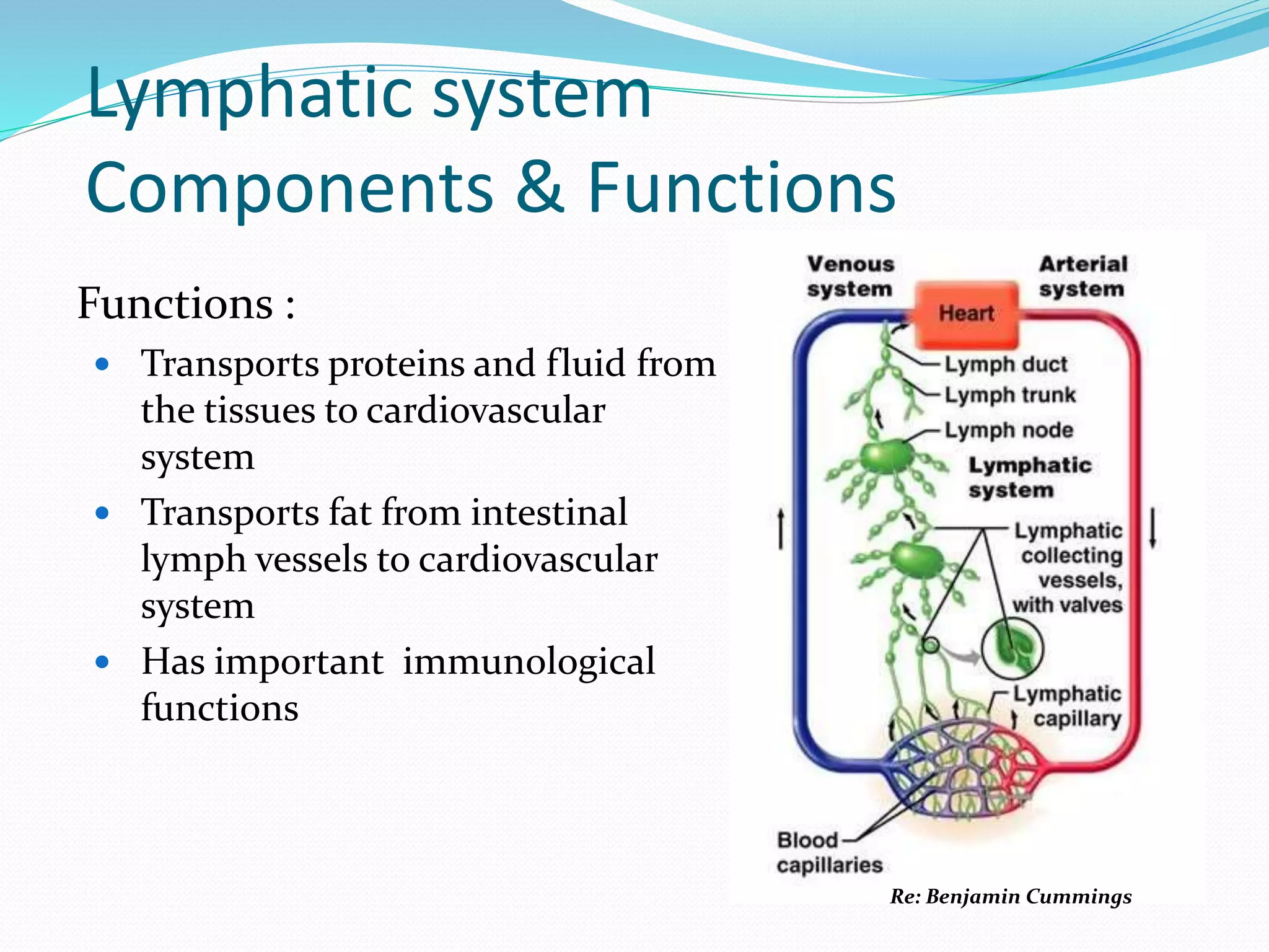 A preview of lymphedema treatment and management | PPTX