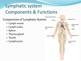 A preview of lymphedema treatment and management | PPTX