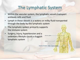 Lymph Massage | PPTX