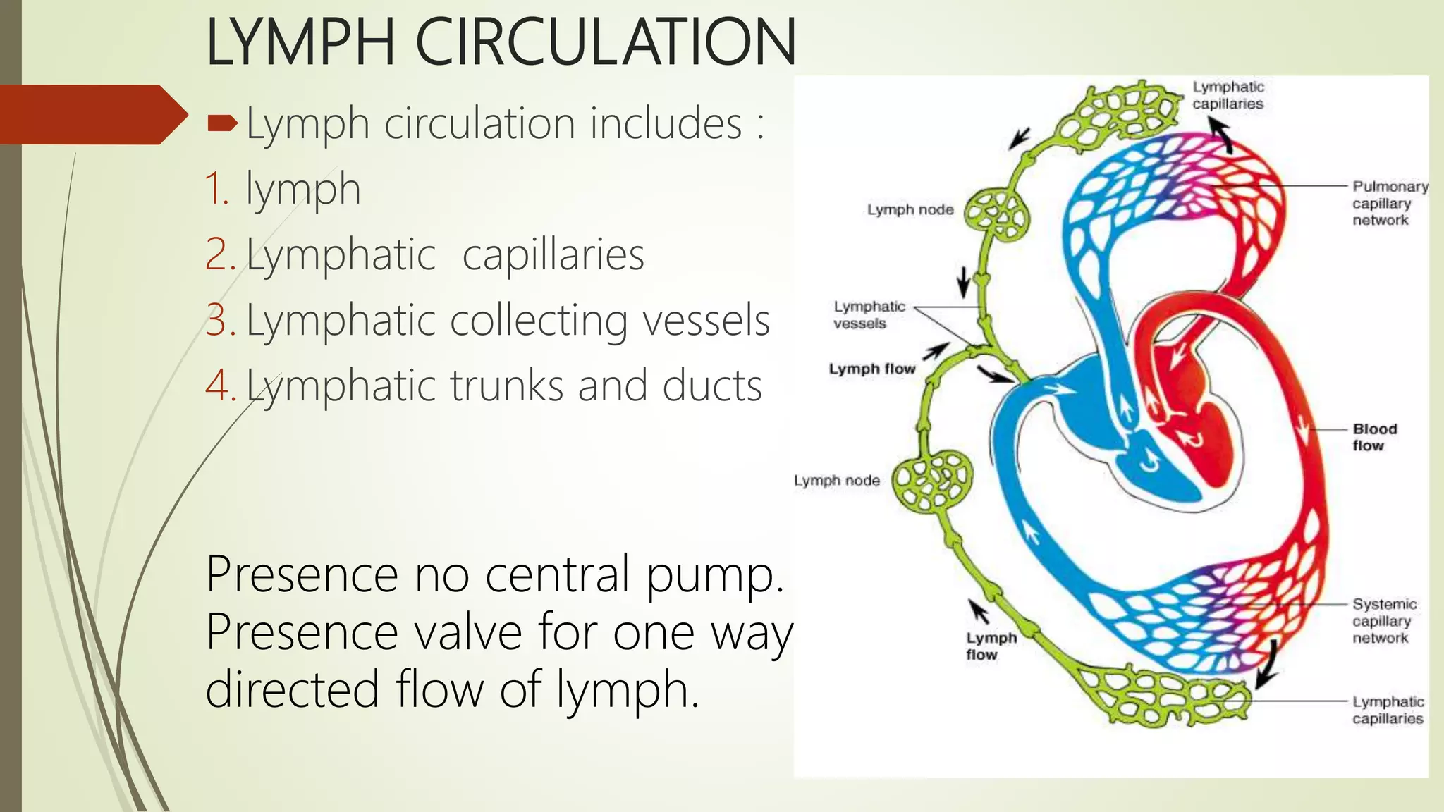 Lymph mh | PPTX