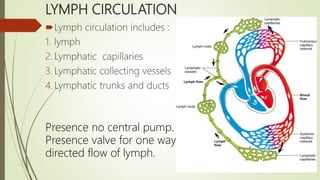 Lymph mh | PPTX