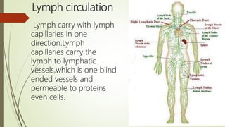 Lymph mh | PPTX