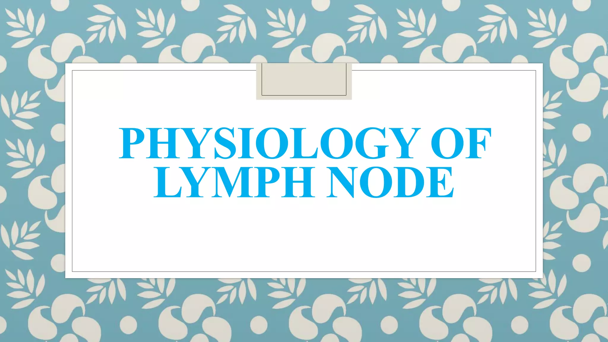 Lymph node | PPTX