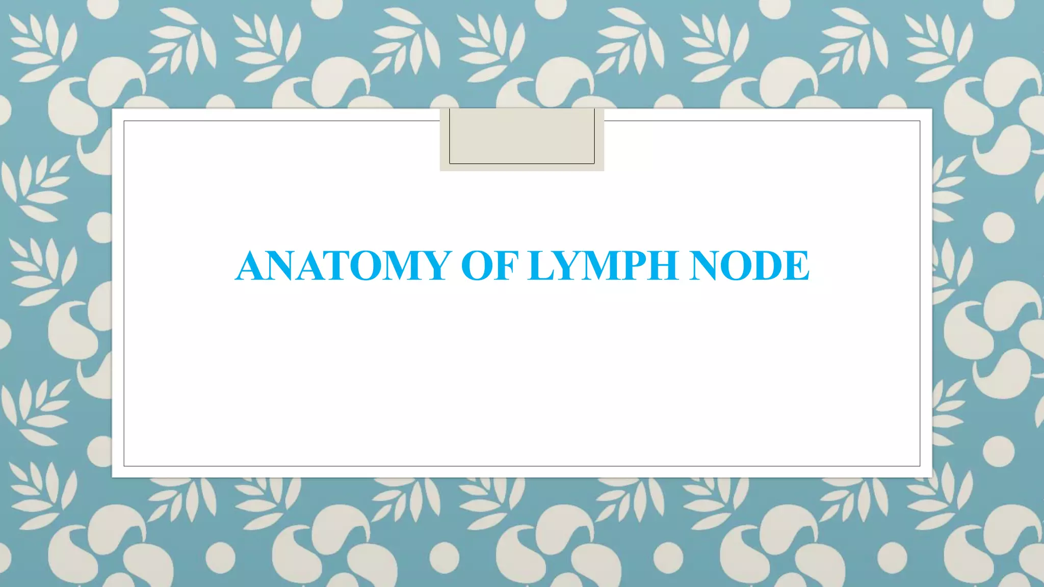 Lymph node | PPTX
