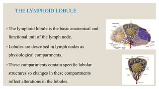 Lymph node | PPTX