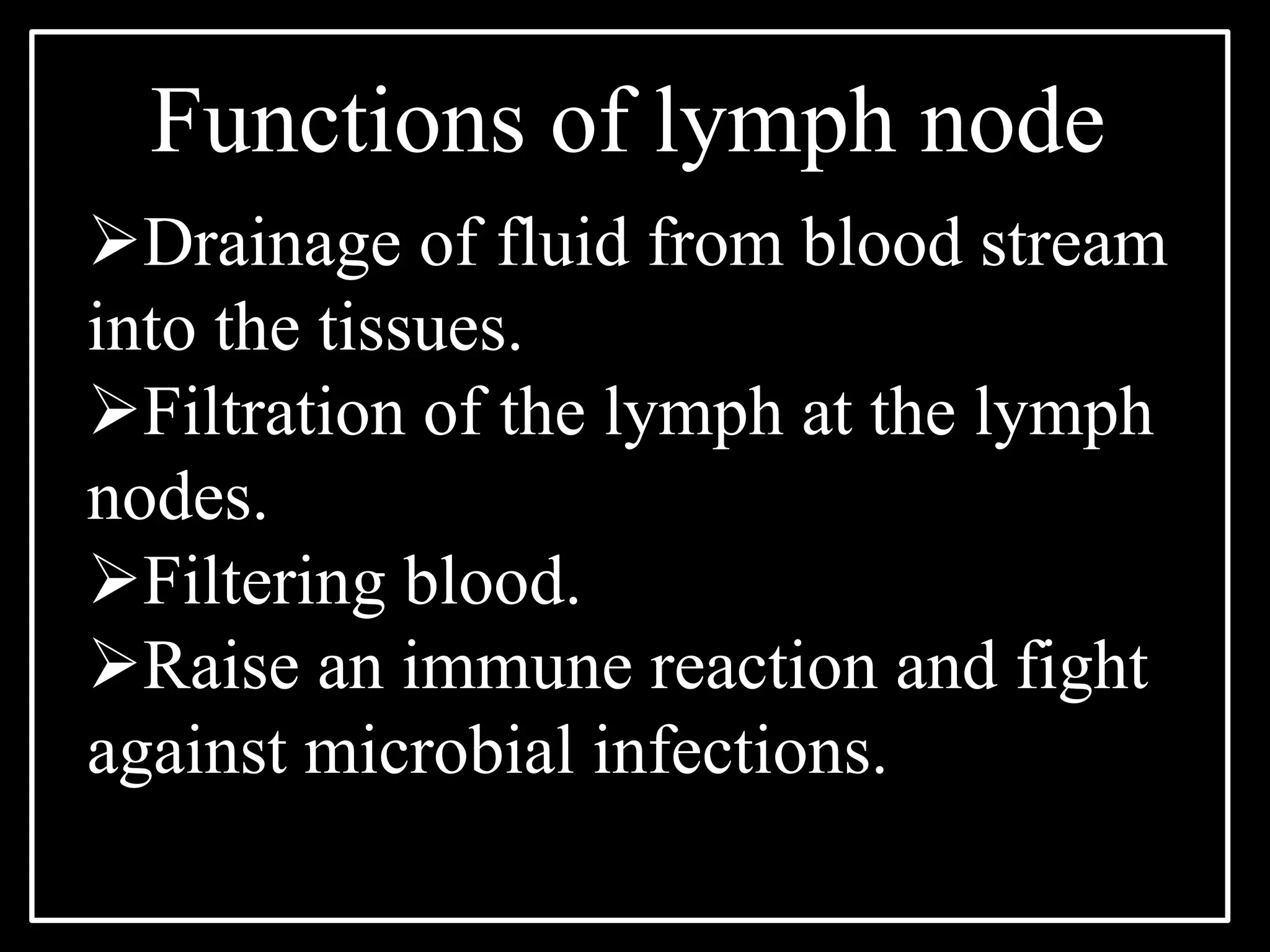 lymph node.ppt