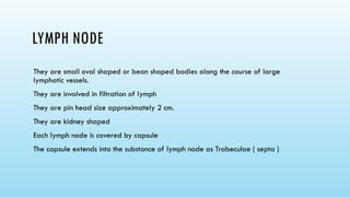 Comprehensive Histology and Structure of the Human Lymph Node | PPTX