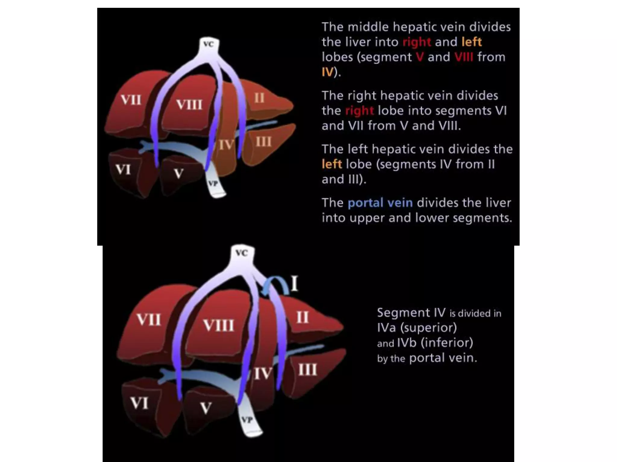 Lymph node anatomy for pet ct | PPT