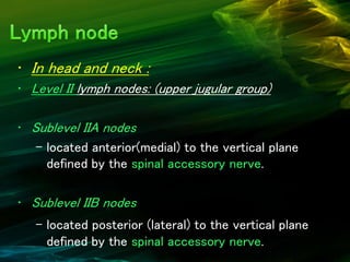 Lymph node and its level/certified fixed orthodontic courses by Indian ...
